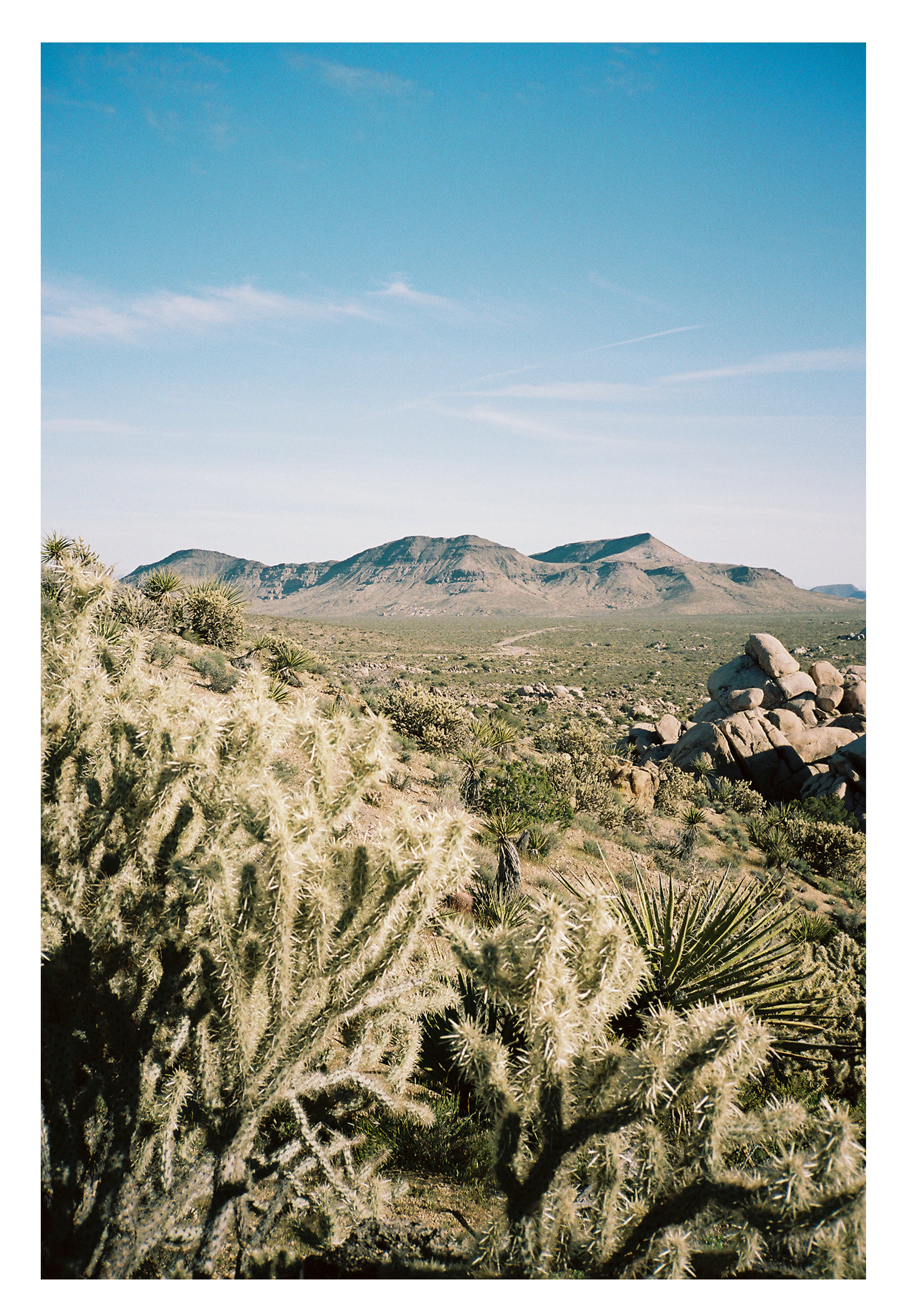 Prints – Lella Soper